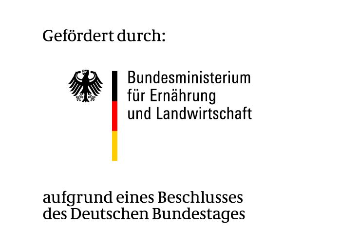 Insekten als Lebensmittel - diese sind zugelassen | Verbraucherzentrale.de Insekten als Lebensmittel - diese sind zugelassen | Verbraucherzentrale.de